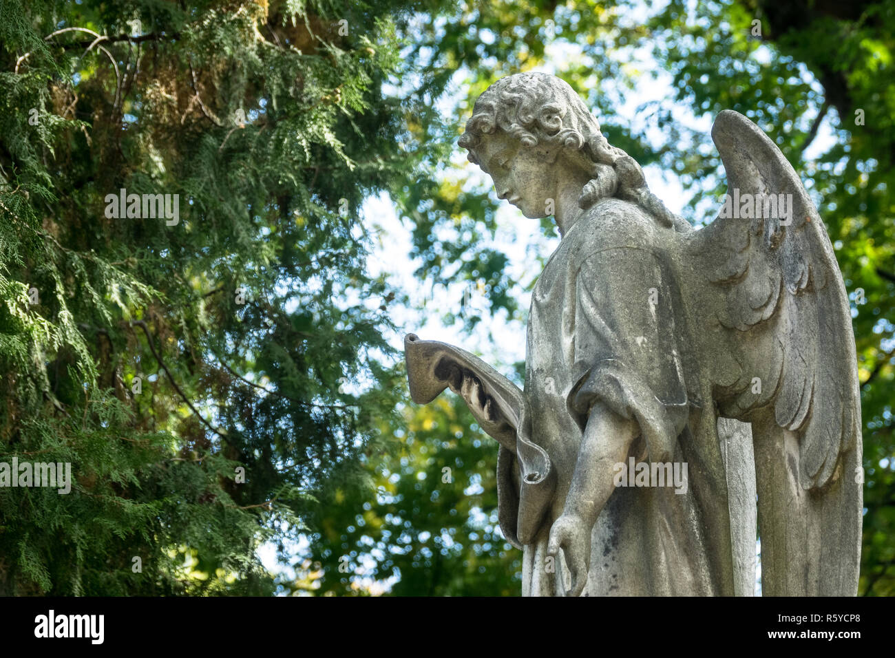 Tte symbol hi-res stock photography and images - Alamy