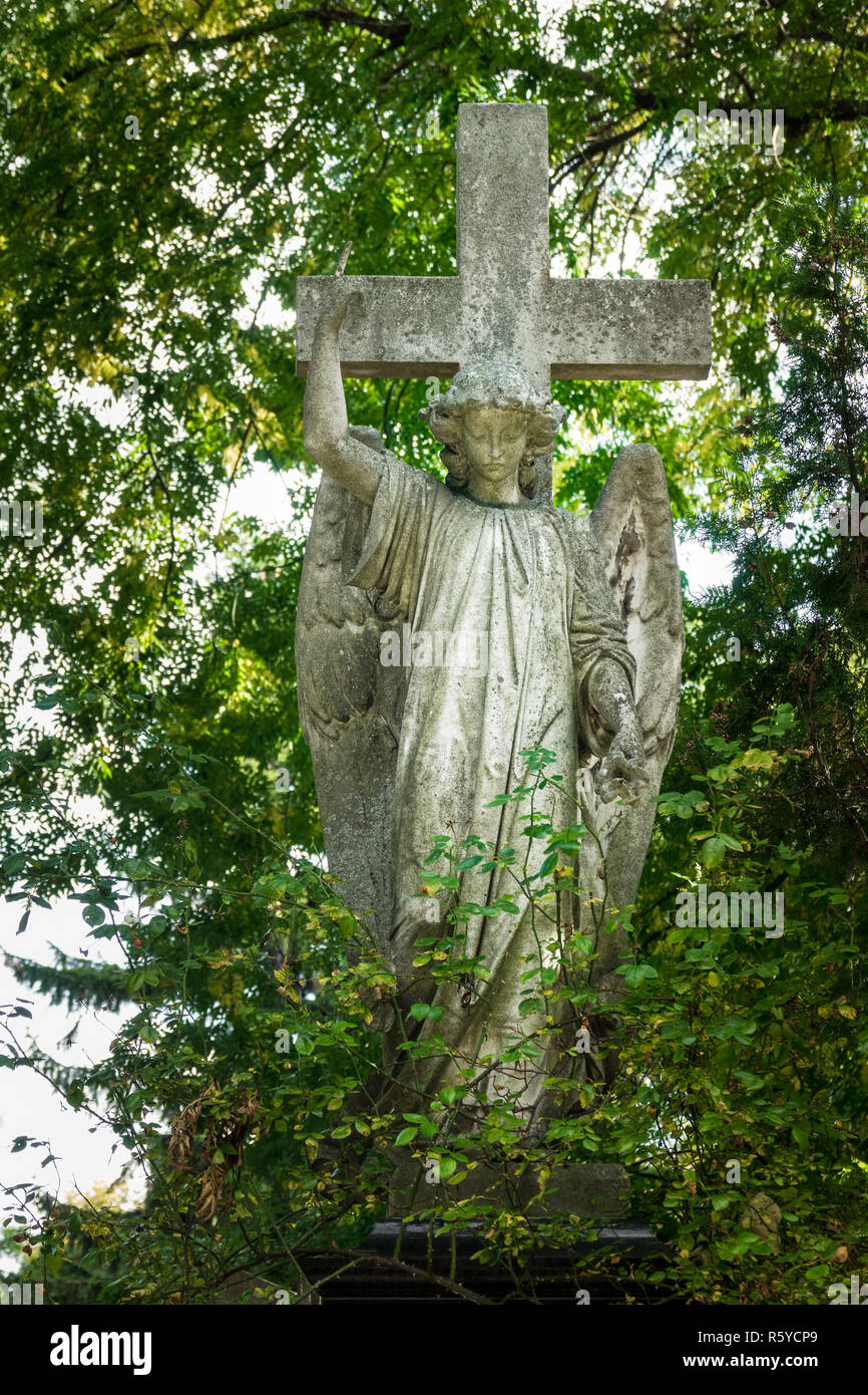 Tte symbol hi-res stock photography and images - Alamy