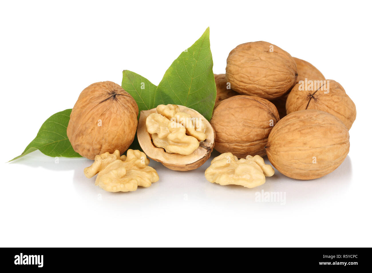 walnuts walnut fresh nuts nut shell leaves isolated isolated cut out ...
