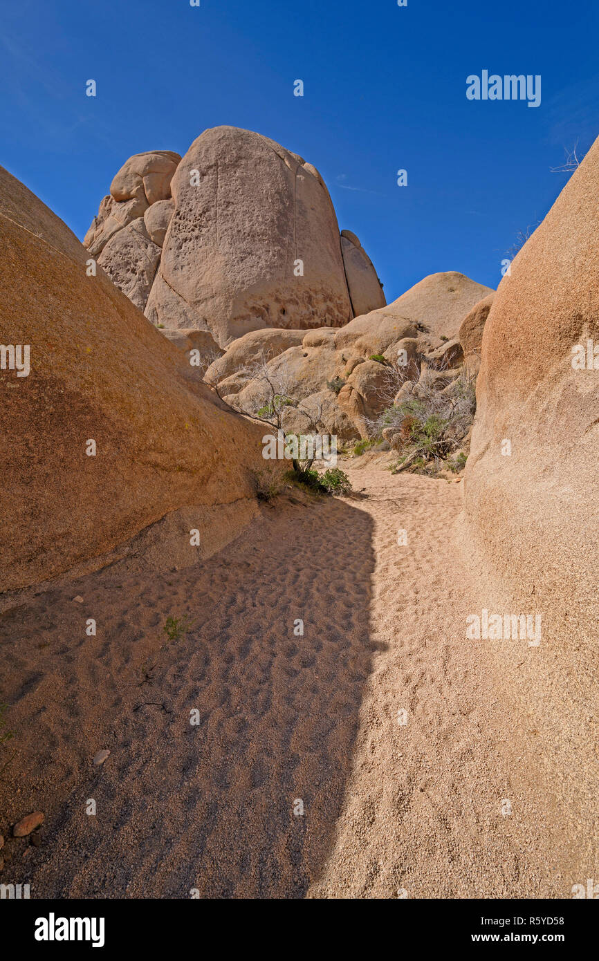 Secluded Trail in the Desert Stock Photo - Alamy