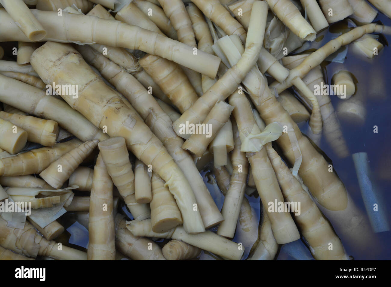 Pickled bamboo shoots Stock Photo - Alamy