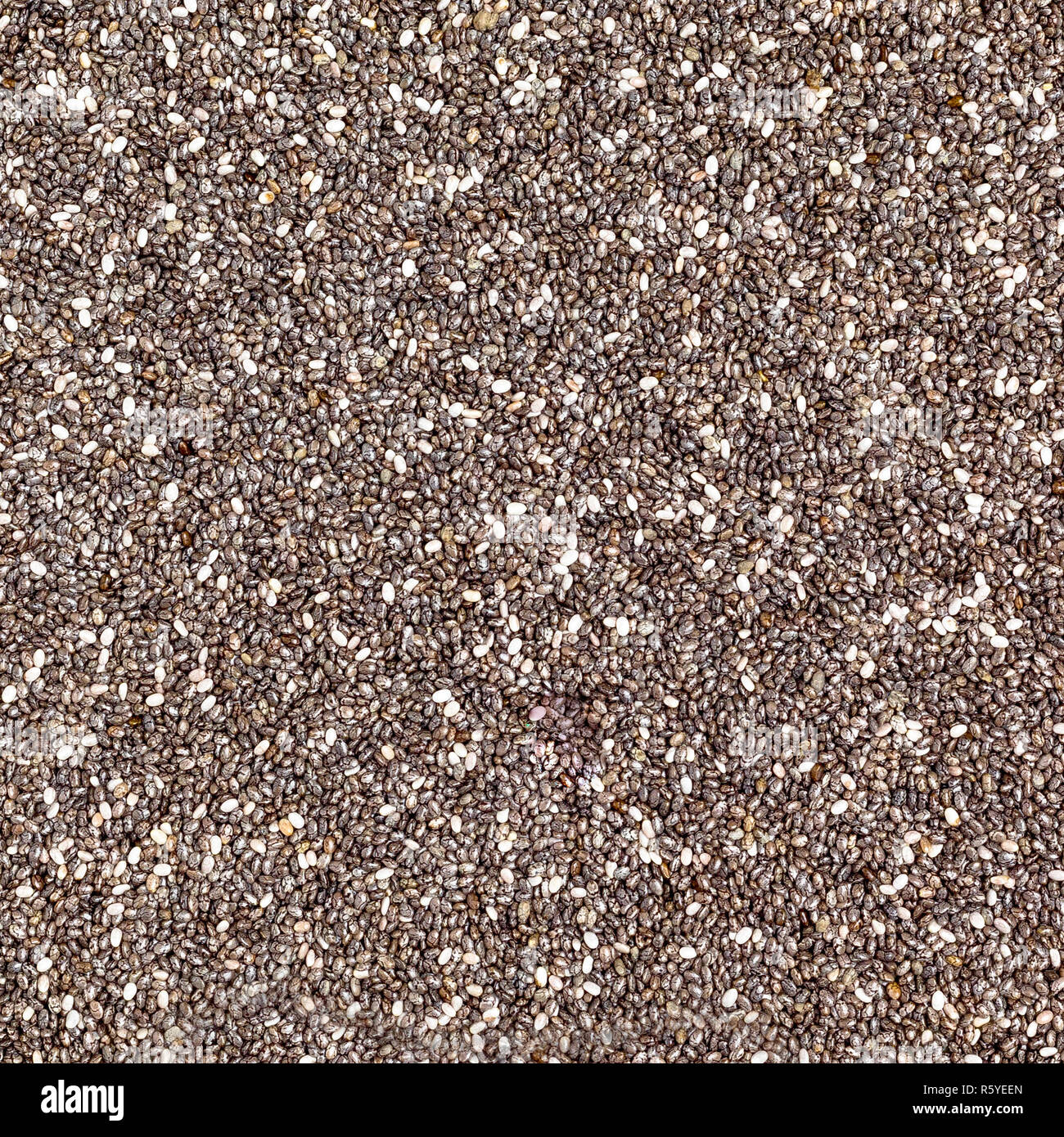 Background and texture of chia seed Stock Photo - Alamy