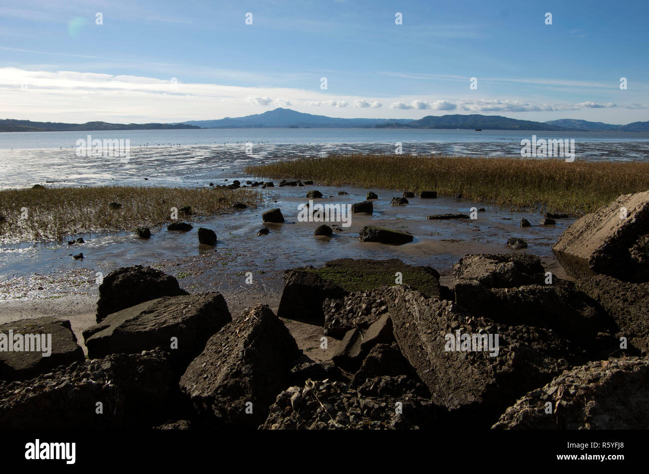 Pinole Point Regional Park offers great views of the North Bay Stock ...