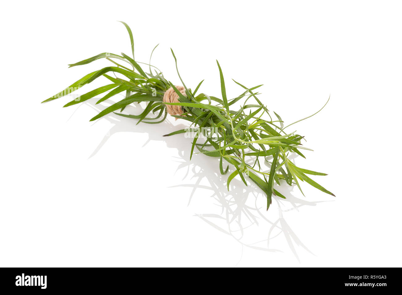 Tarragon spice artemisia dracunculus Cut Out Stock Images & Pictures ...