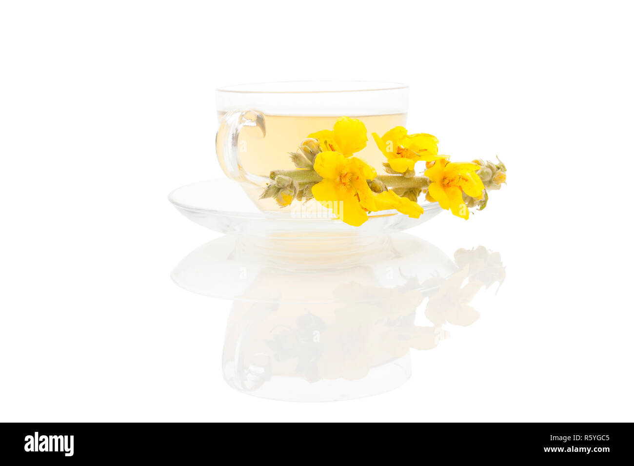 Verbascum, common mullein tea Stock Photo - Alamy