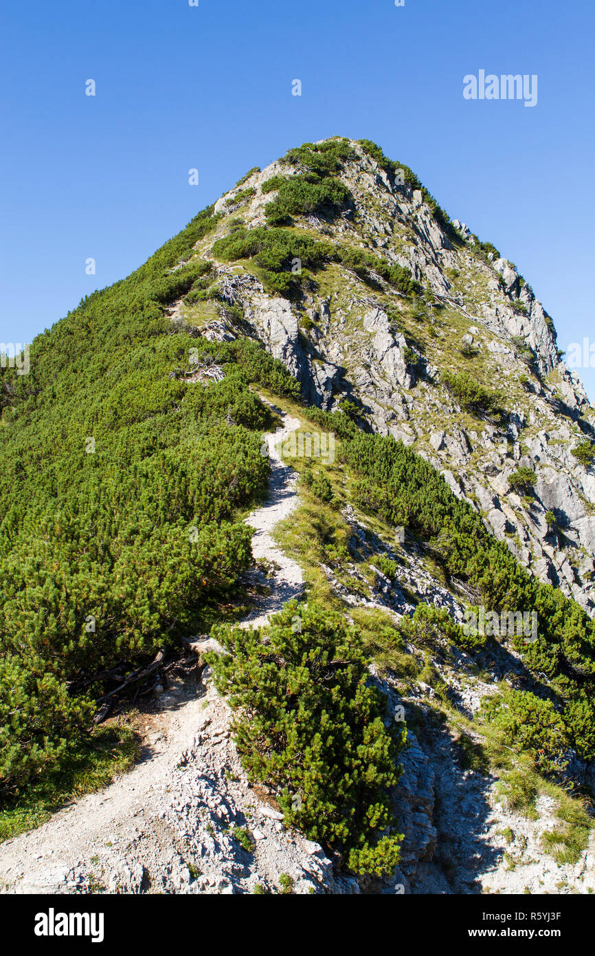 narrow mountain path in summer. way to the summit Stock Photo - Alamy