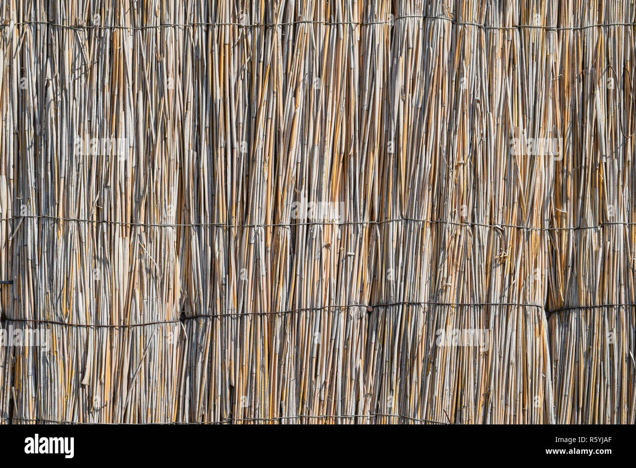 Old reed screen hi-res stock photography and images - Alamy