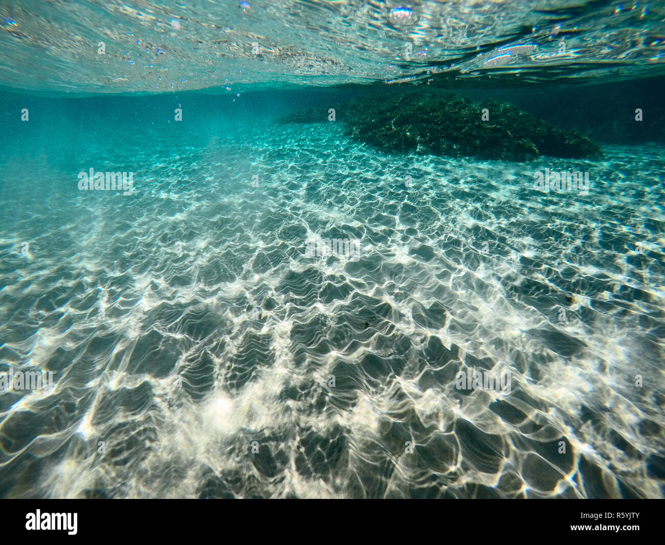 Underwater sea scene Stock Photo - Alamy