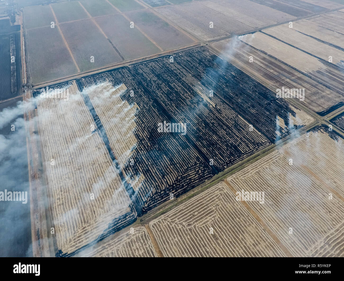 Burned wheat field hi-res stock photography and images - Alamy