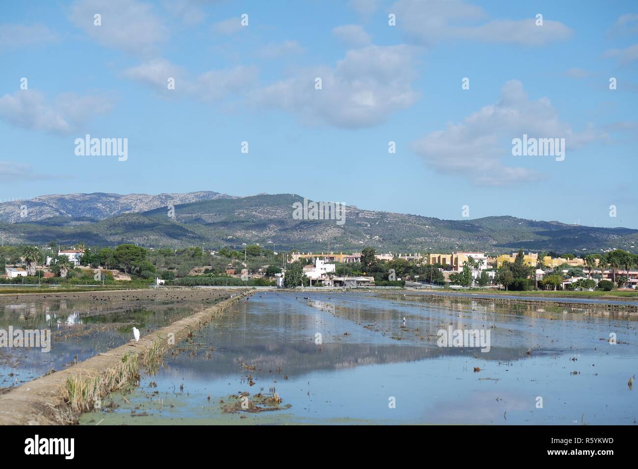 Ebrodelta hi-res stock photography and images - Alamy