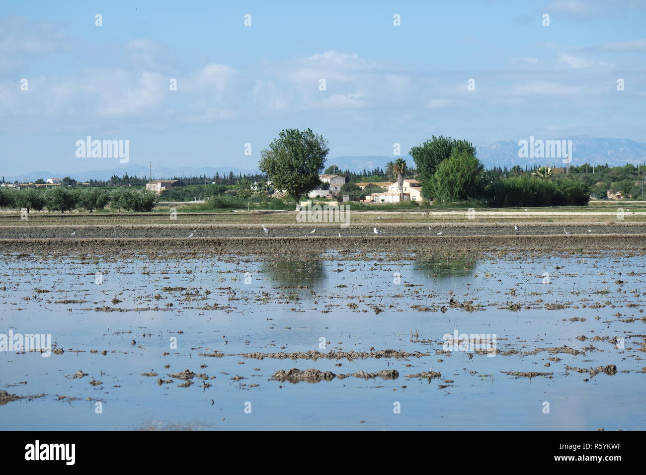 Ebrodelta hi-res stock photography and images - Alamy