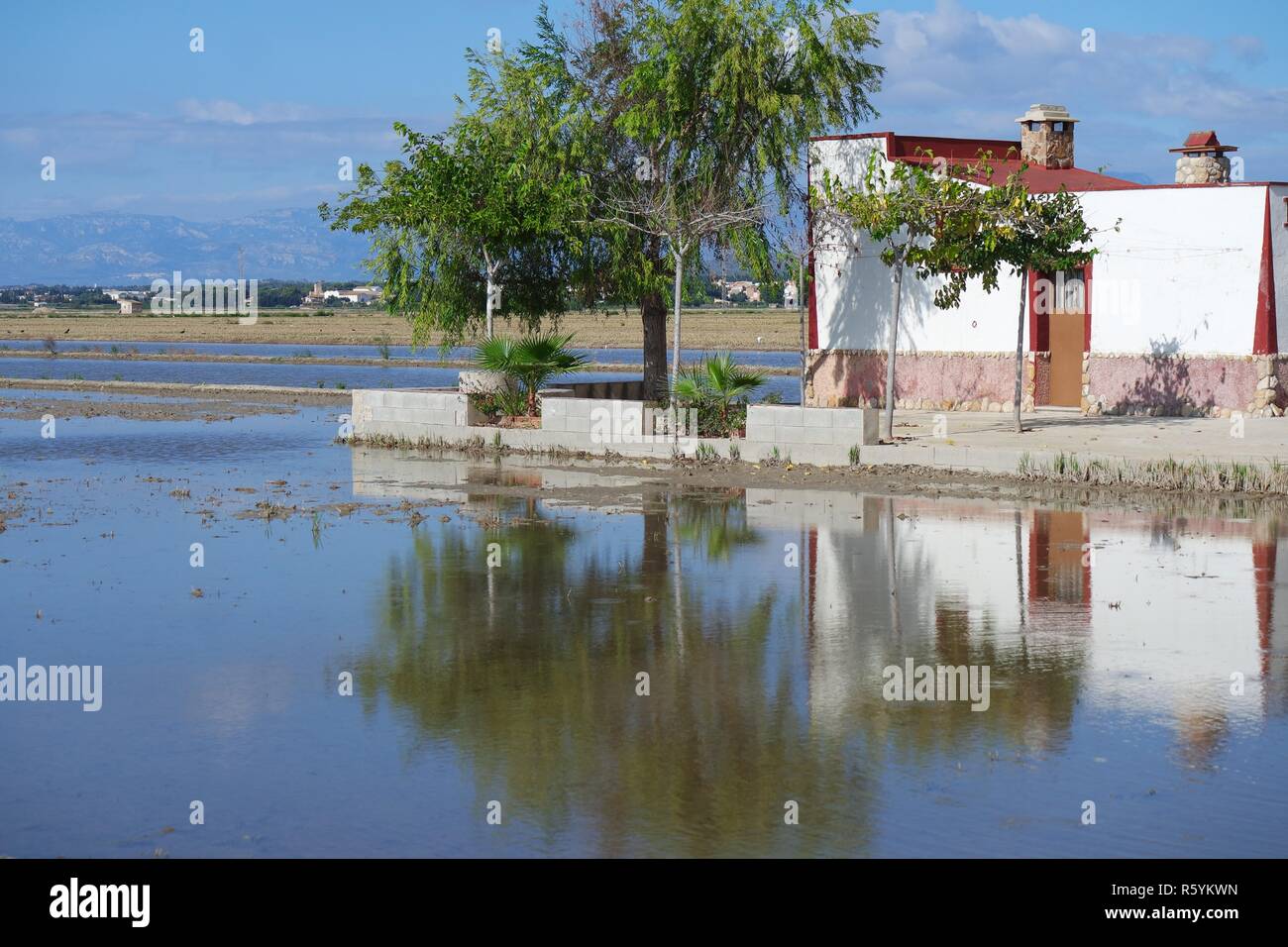 farmhouse on rice field,ebro delta Stock Photo - Alamy