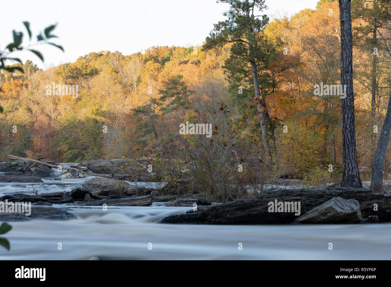 No colors hi-res stock photography and images - Alamy