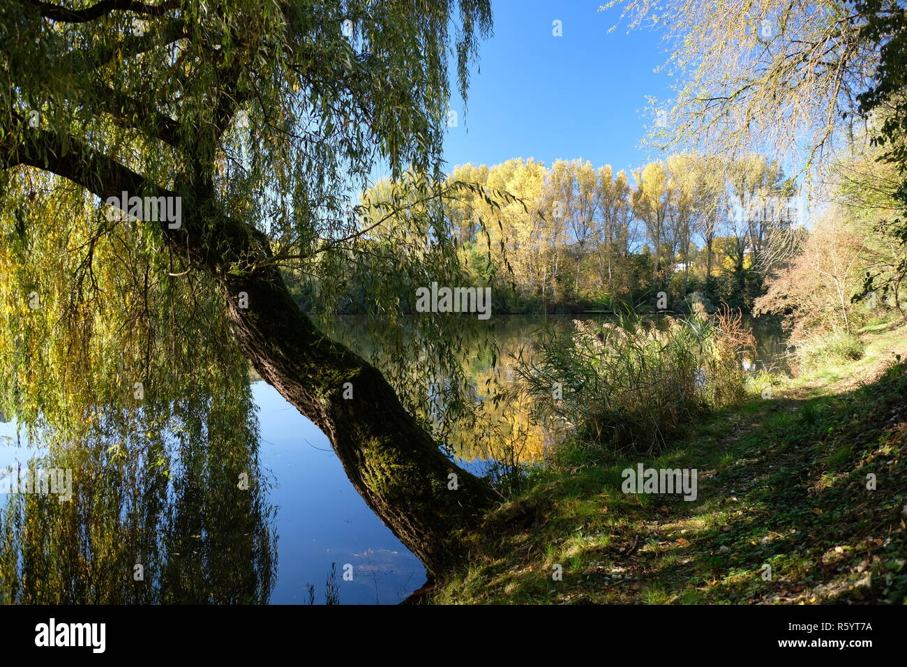 autumn in the bÃ¶ttinger bay Stock Photo - Alamy