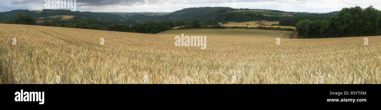 Landschaft der Eifel bei Bitburg, Deutschland, Europa Stock Photo - Alamy