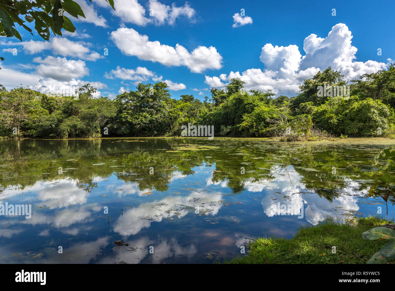 Water reflection in a small lagoon in Bonito, a very famous destination ...