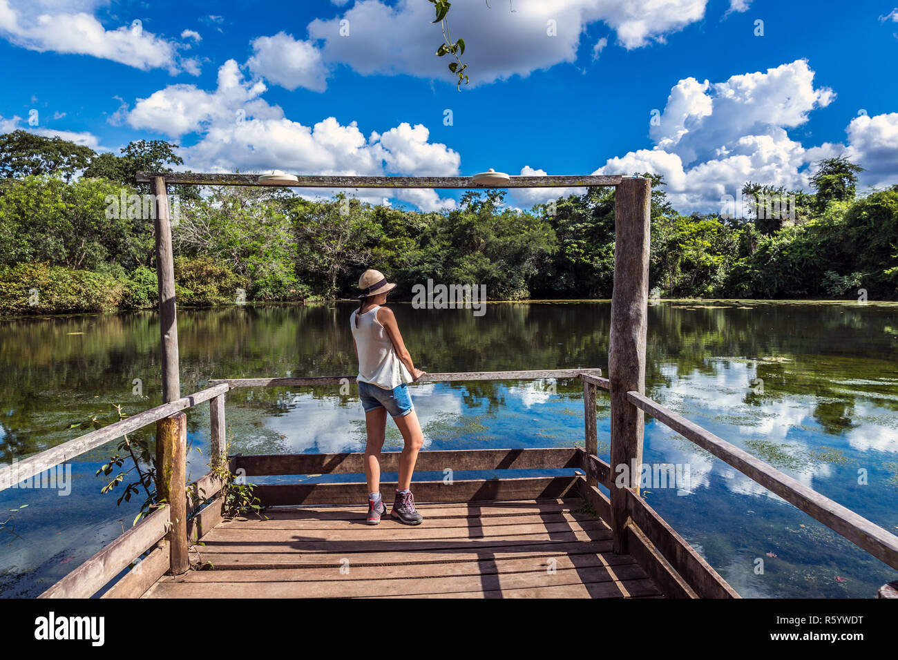 Young woman visiting a beautiful landscape in Bonito city, Brazil Stock ...