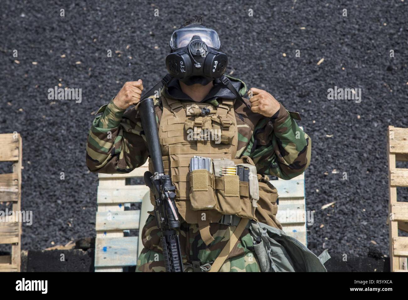 Caltrap High Resolution Stock Photography and Images - Alamy
