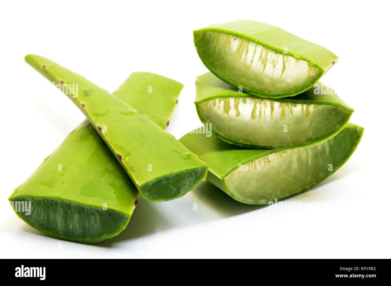 Aloe vera fresh leaf isolated Stock Photo - Alamy