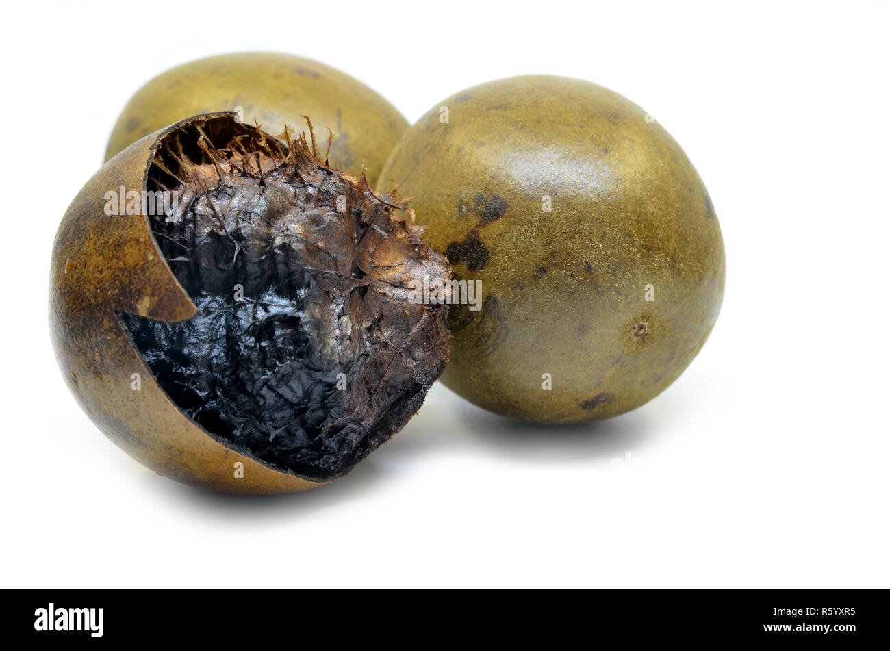 Lo Han Guo, Monk or Buddha fruit Stock Photo - Alamy