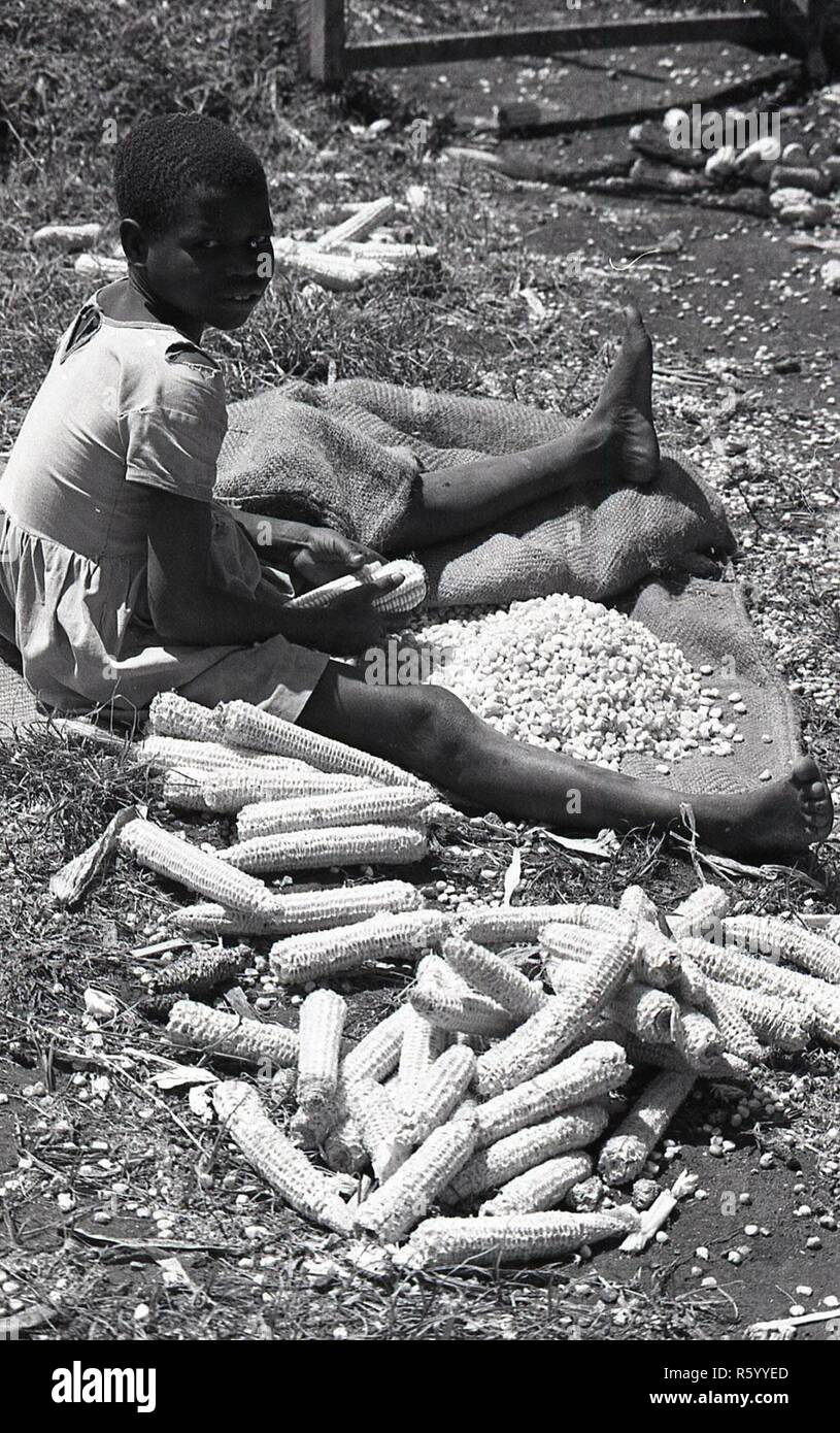 Plucking corn hi-res stock photography and images - Alamy