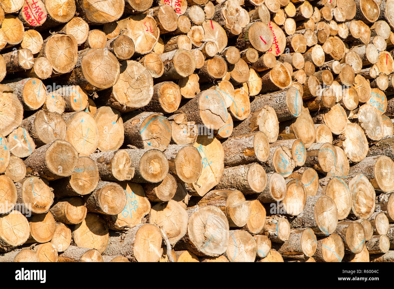 Annual storage hi-res stock photography and images - Alamy