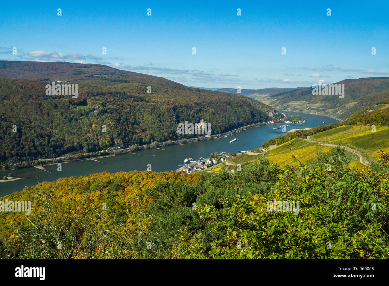 the middle rhine near assmannshausen with a view of the rhine valley to ...