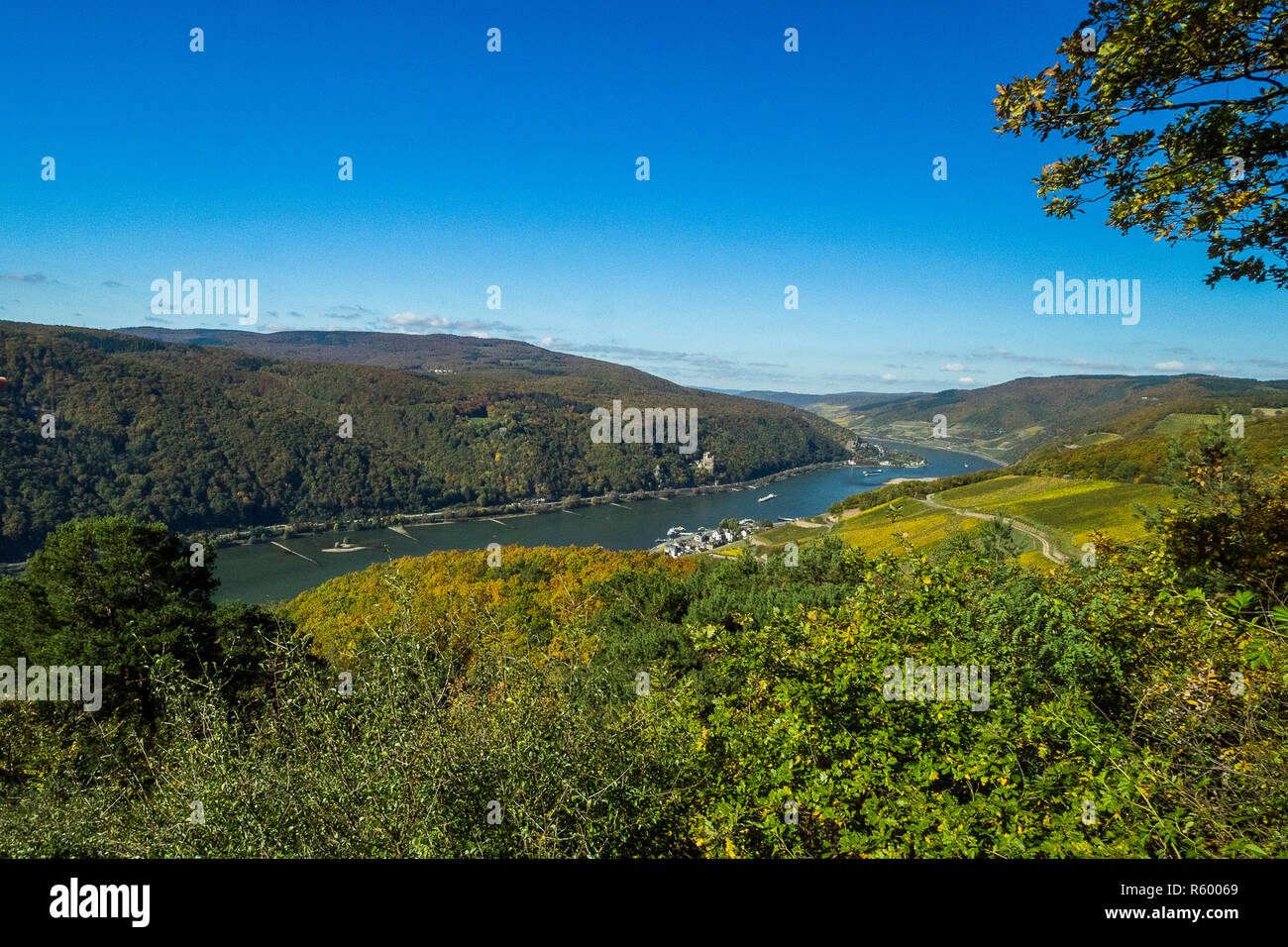 the middle rhine near assmannshausen with a view of the rhine valley to ...