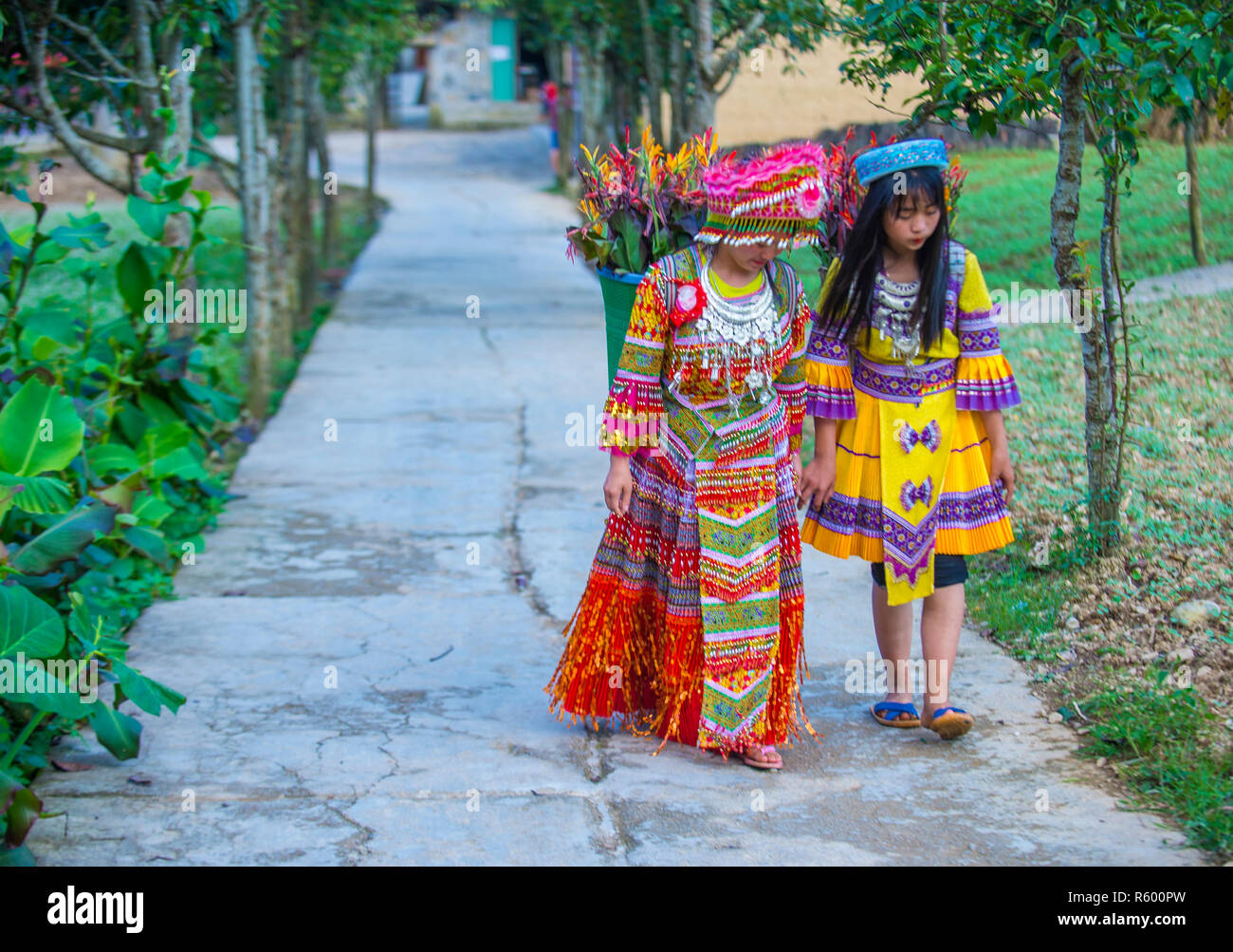 Girls from the Hmong minority in a village near Dong Van in Vietnam ...