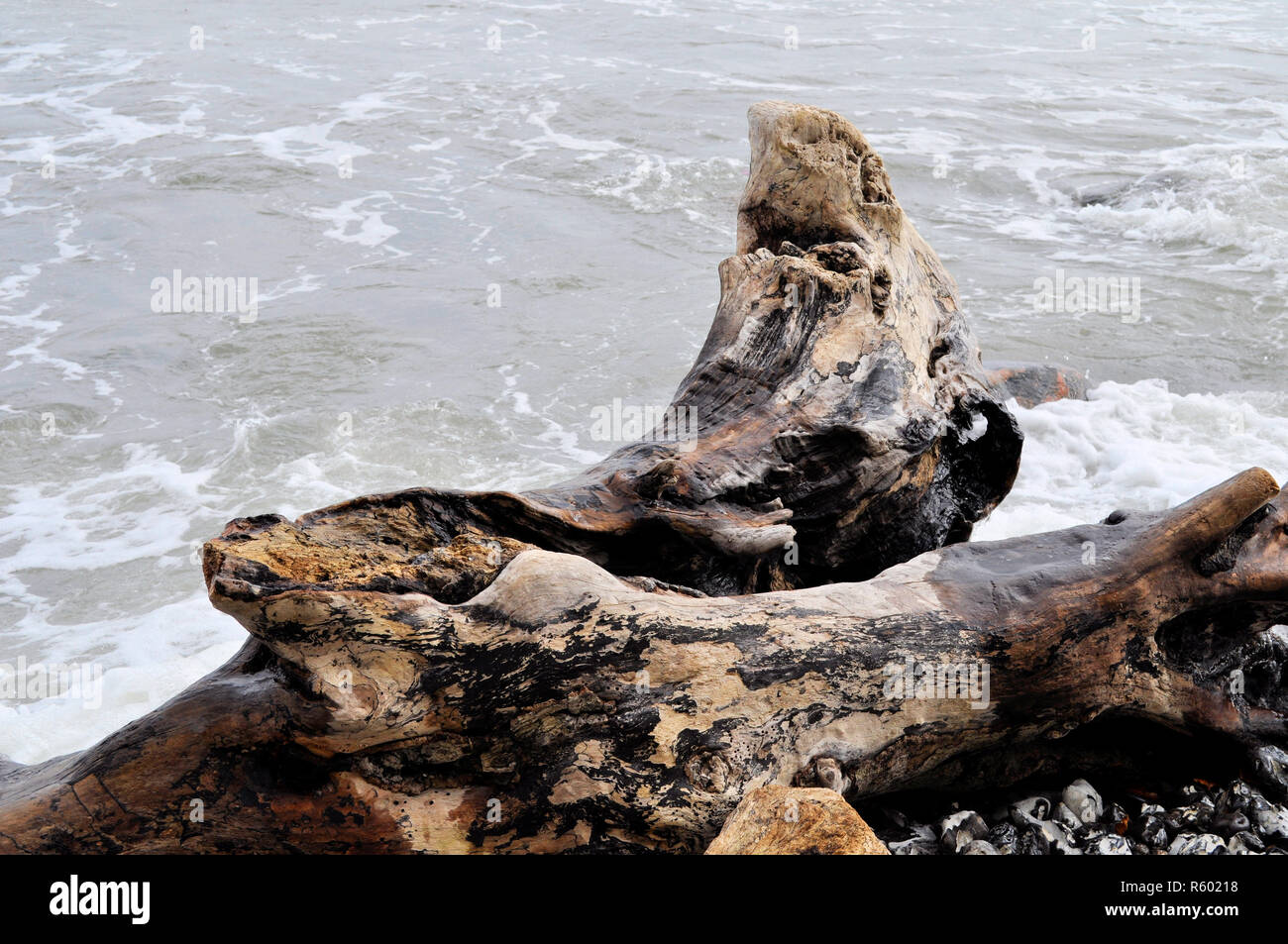 Umweltkatastrophe natur hi-res stock photography and images - Alamy