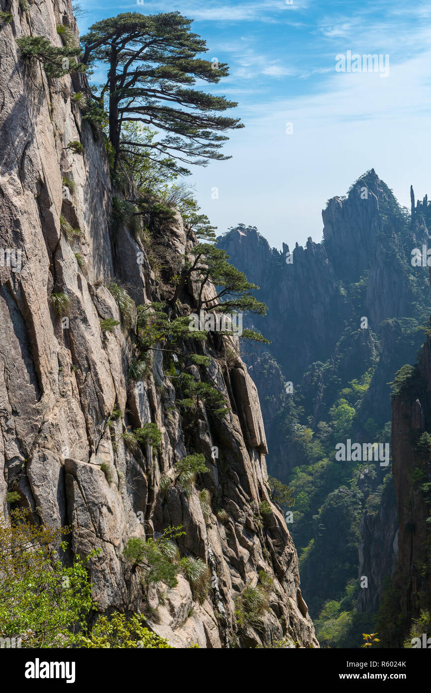 landscape shots of huangshan mountains in china Stock Photo - Alamy