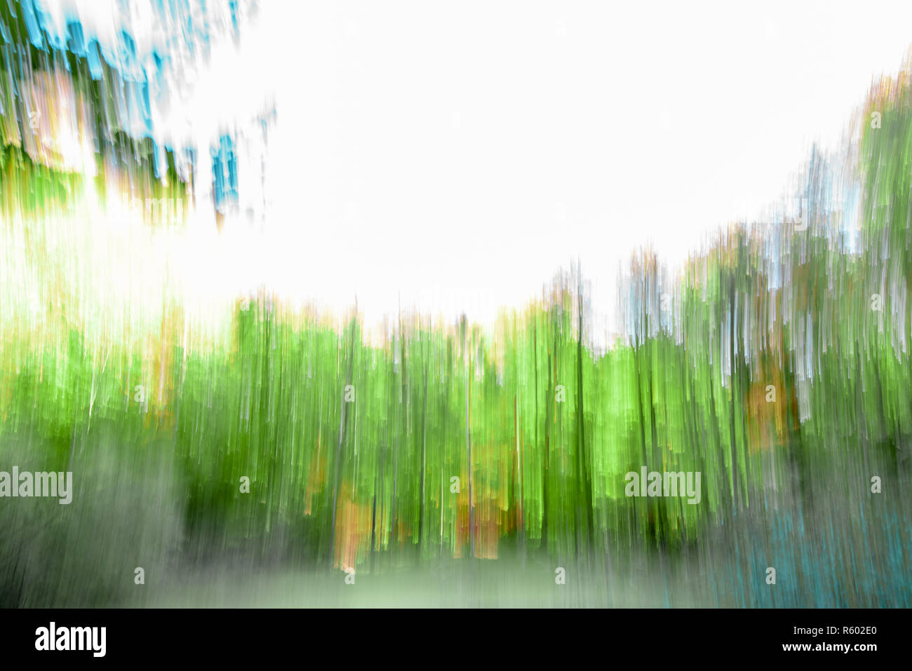 Long exposure or slow shutter speed photography of trees in forest ...