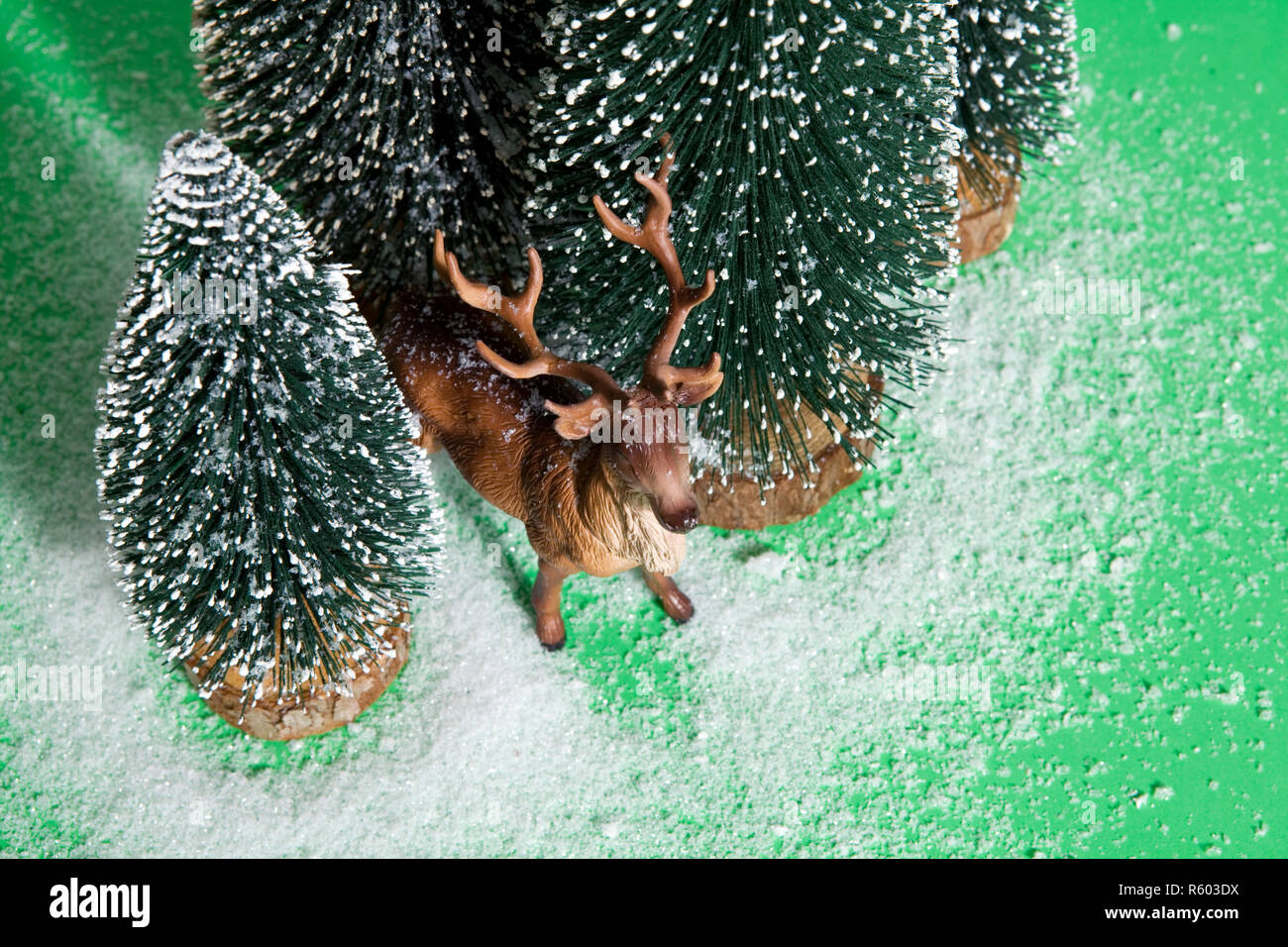 green forest firs and reindeer Stock Photo - Alamy
