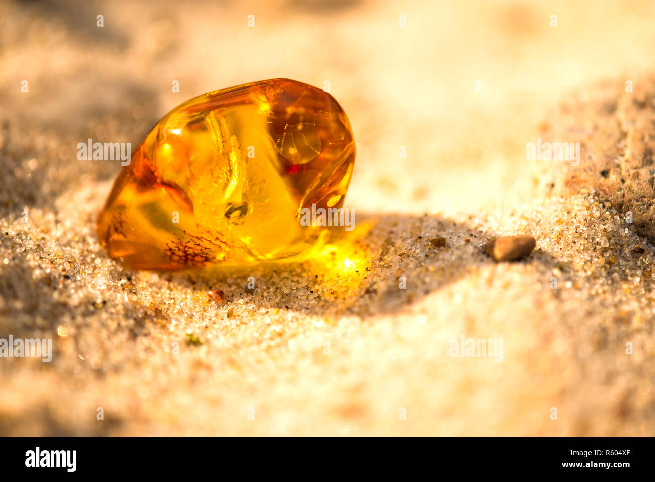 amber on the baltic sea beach Stock Photo - Alamy