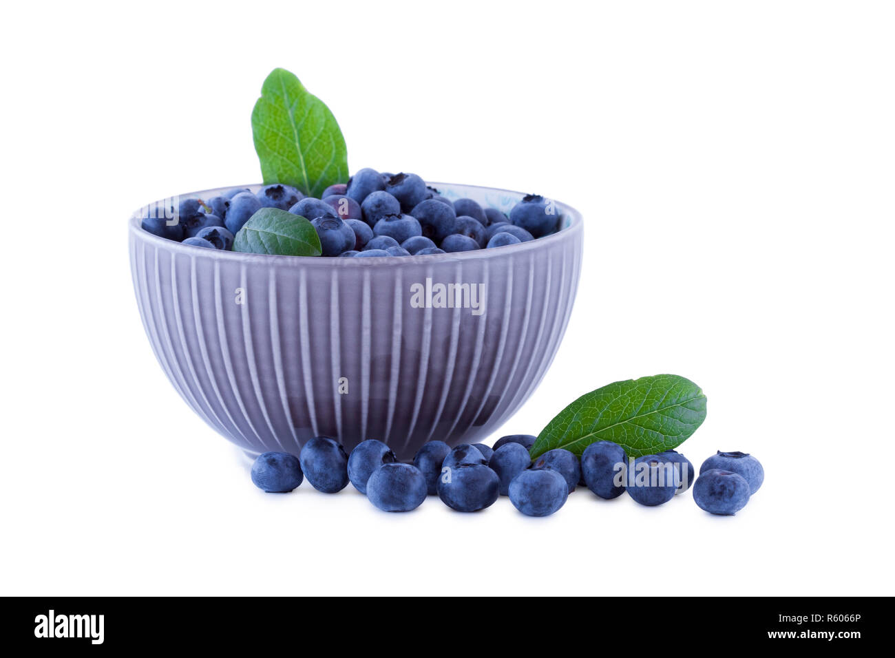 blueberries in a bowl isolated Stock Photo - Alamy