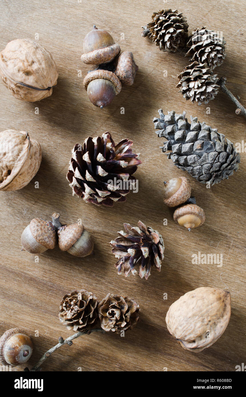 Acorn, walnut and cone on wooden table Stock Photo - Alamy