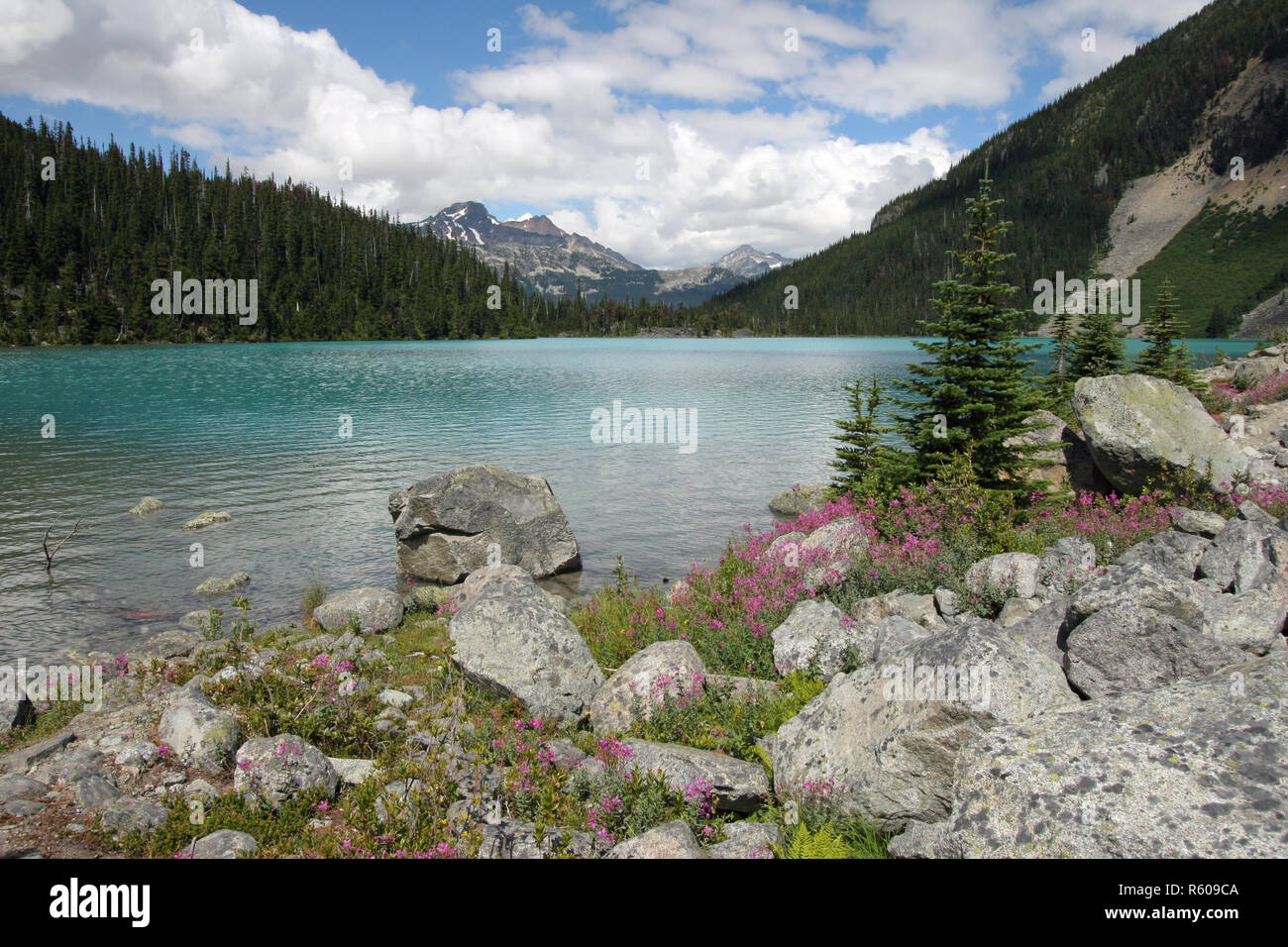 Upper Joffre Lake in Joffre Lakes Provincial Park, British Columbia ...