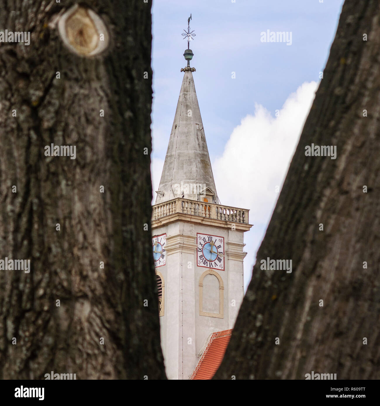 church of rust in burgenland with tree in the foreground Stock Photo ...