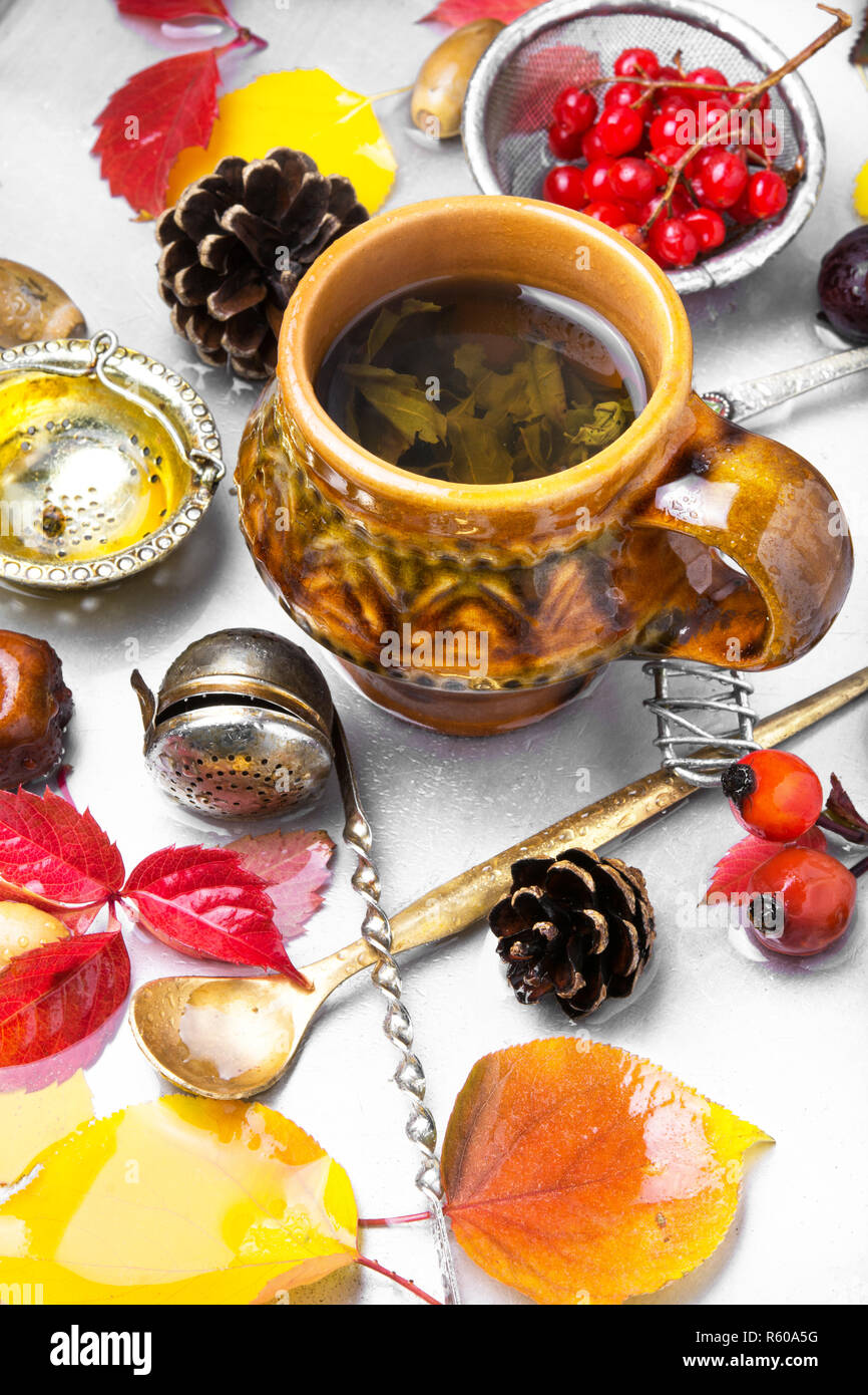 cup of warming autumn tea Stock Photo - Alamy