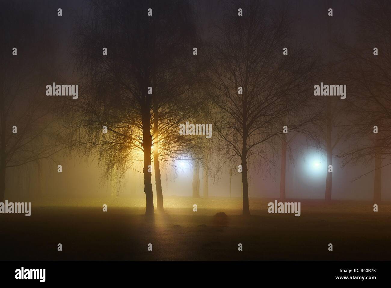 Foggy night walk hi-res stock photography and images - Alamy