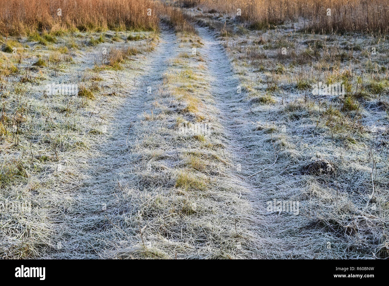 Frosted pathway hi-res stock photography and images - Alamy