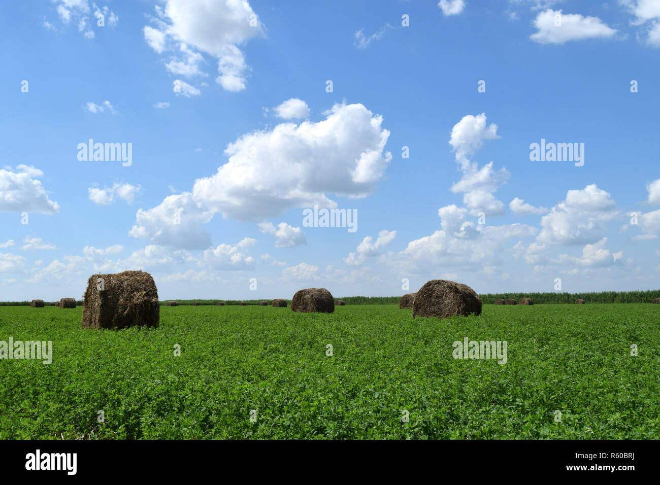 Hay bales sloping field hi-res stock photography and images - Alamy
