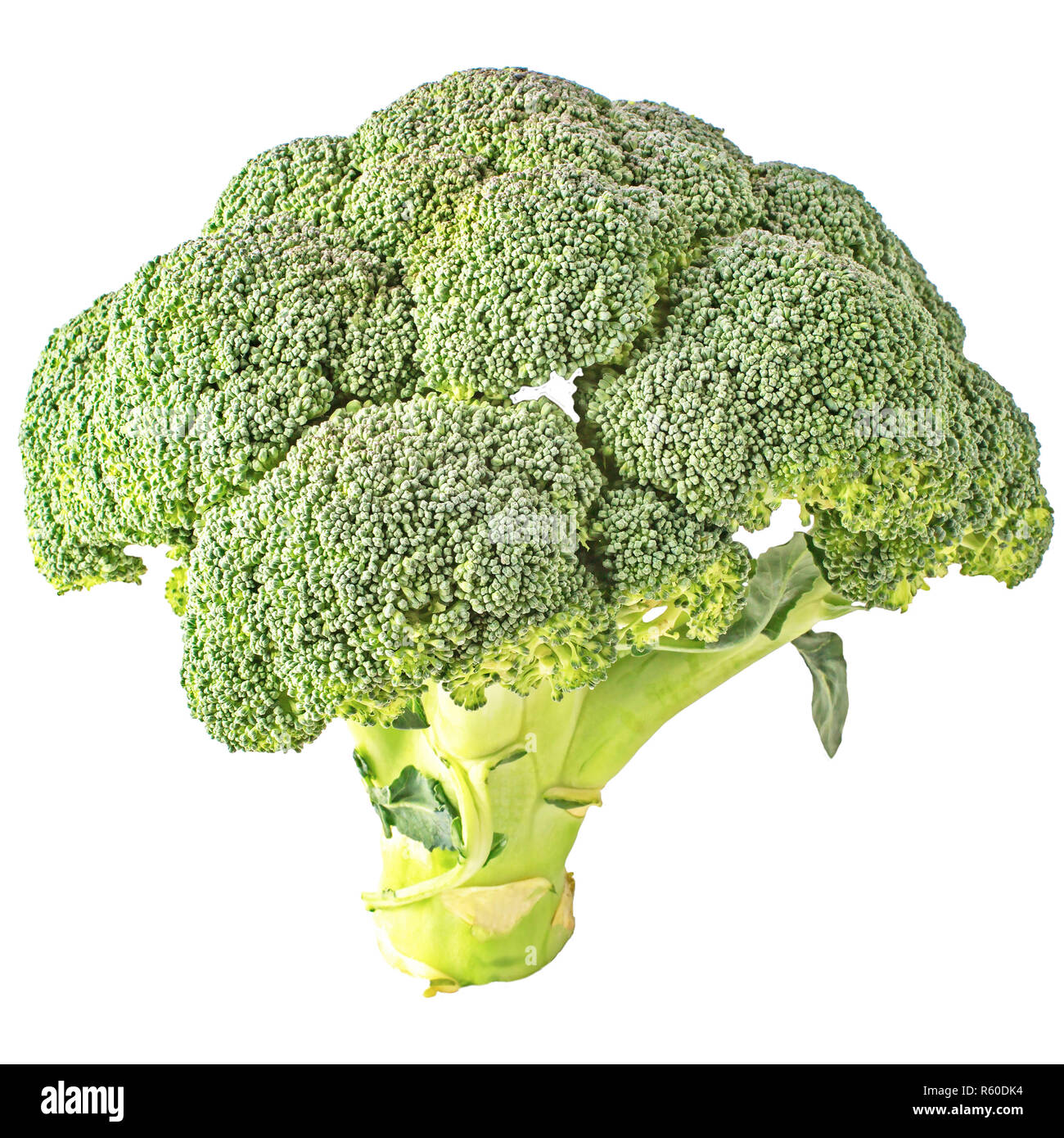 Broccoli isolated on white background Stock Photo - Alamy