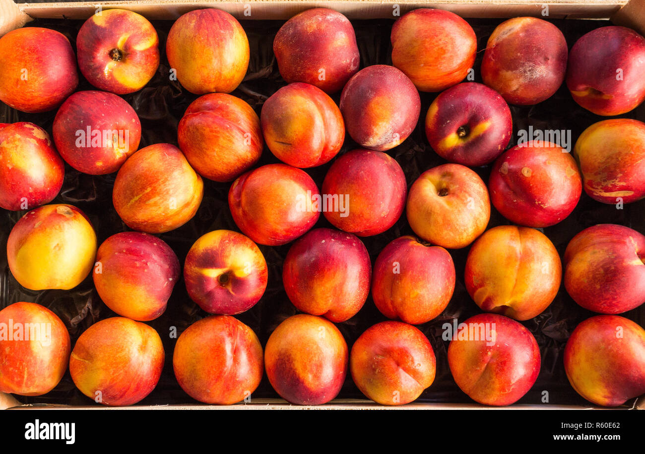 Pome fruit family hi-res stock photography and images - Alamy