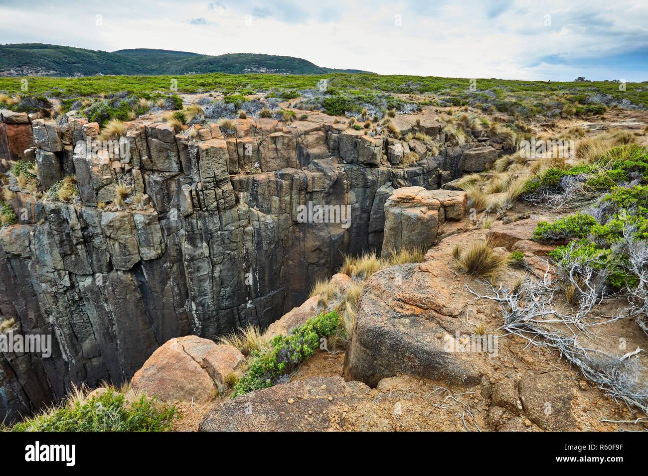 Landscape in Tasmania Stock Photo - Alamy