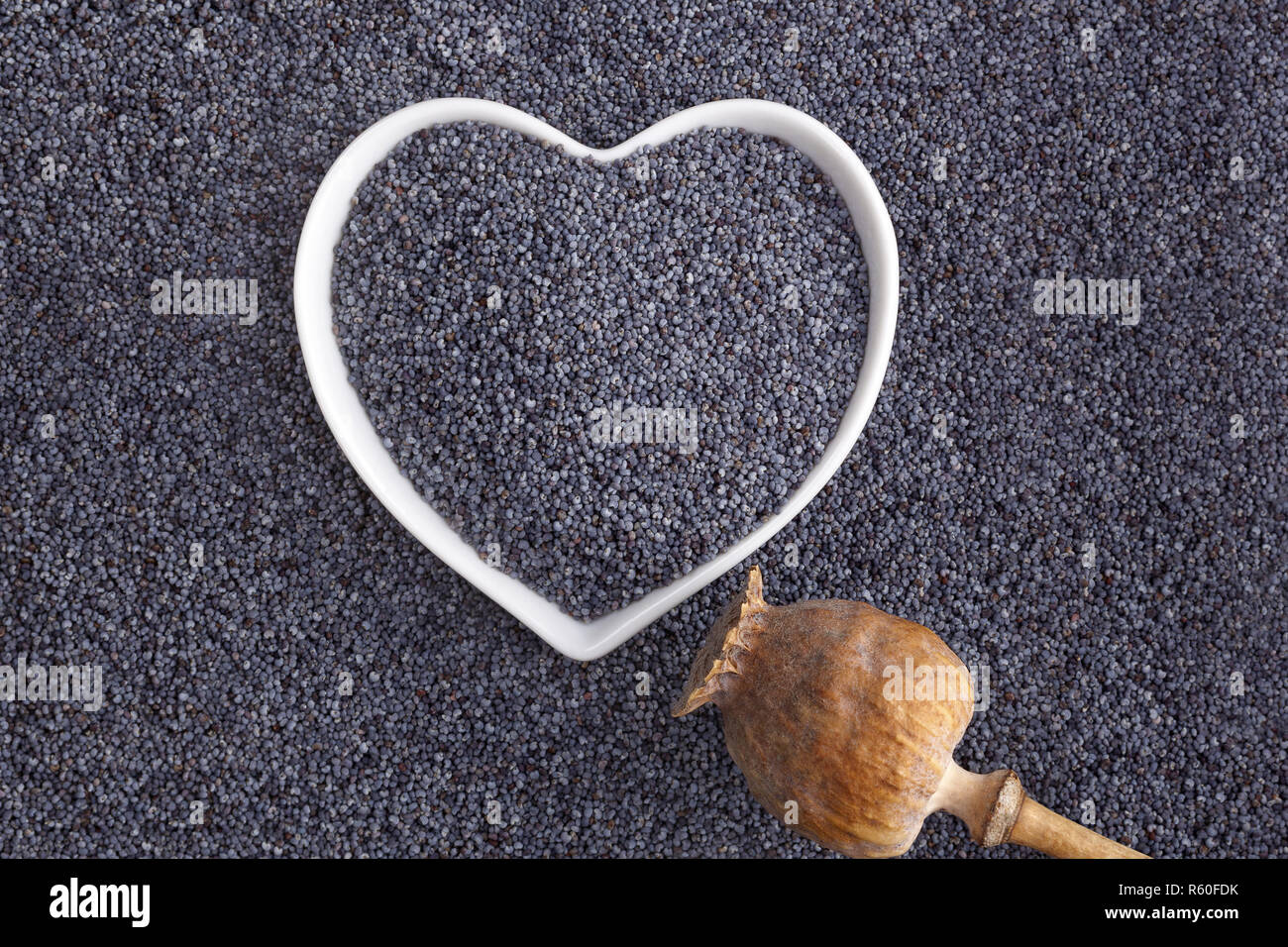 Dried poppy head and seeds Stock Photo - Alamy