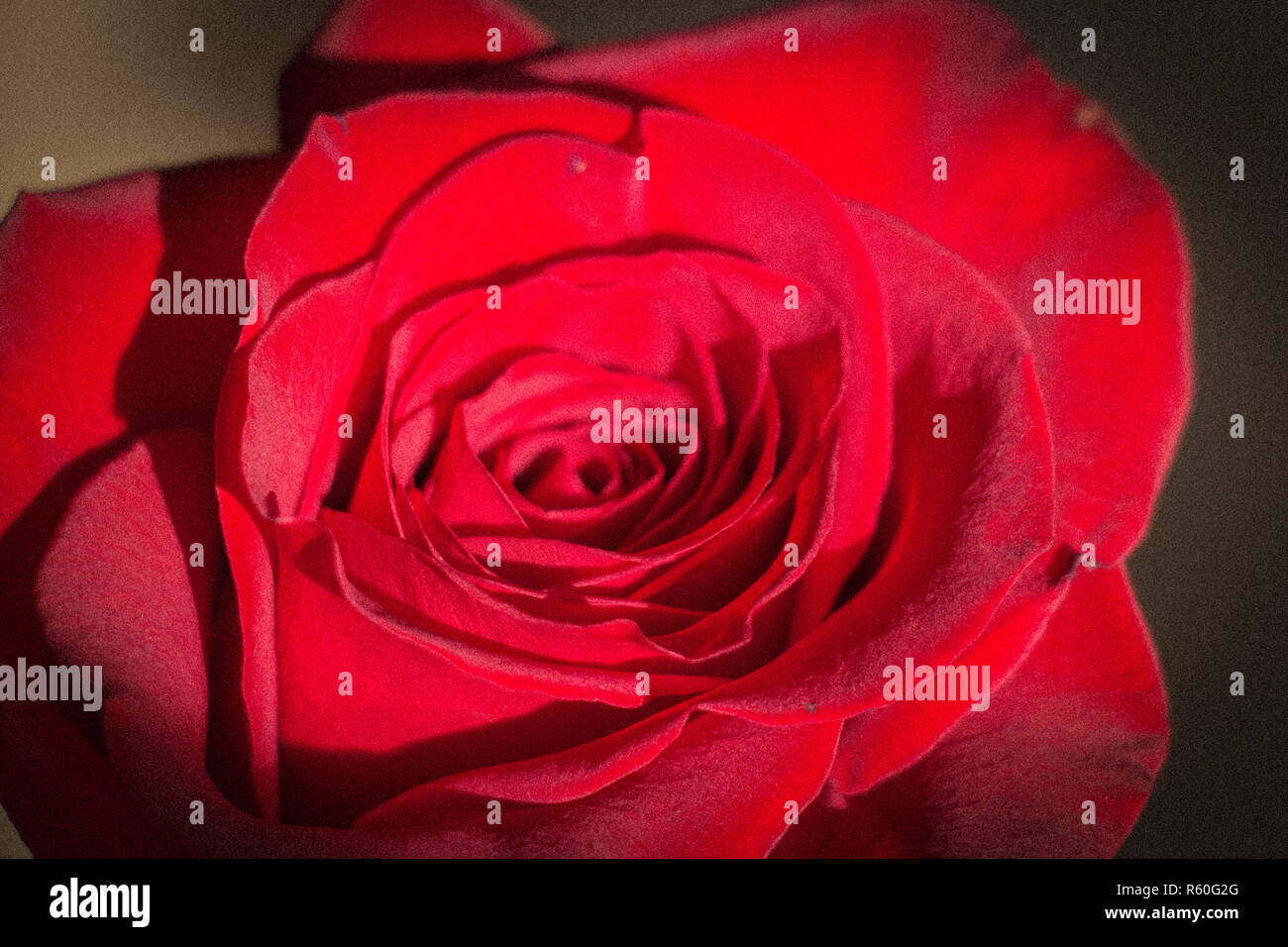 Vignette effect hi-res stock photography and images - Alamy