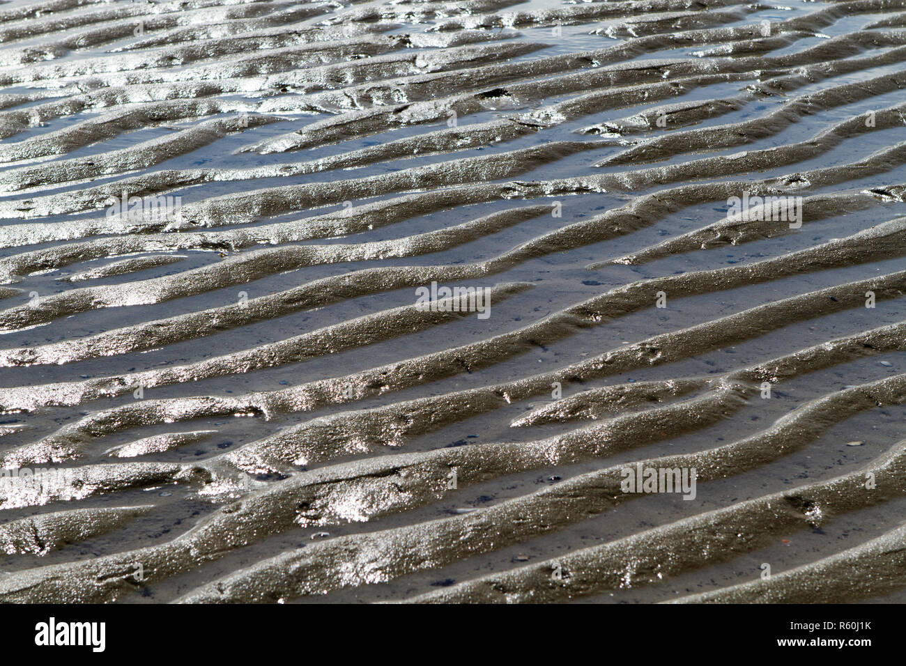 wavy sand pattern with water on the beach. natural backgrounds and ...