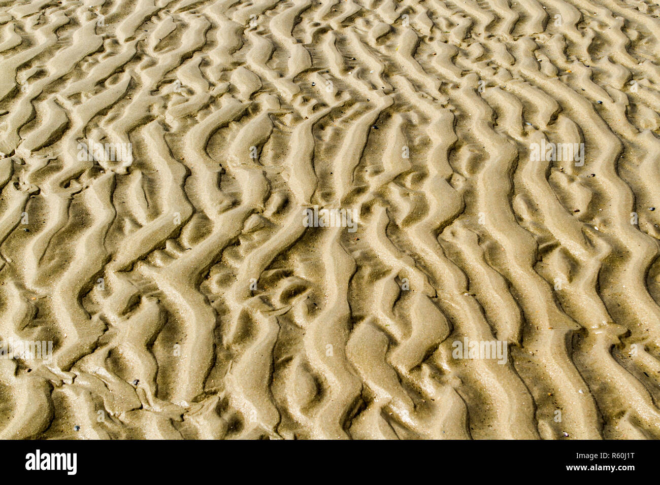Nature Beach Sand Pattern Close Up Of Sand On The Beach · Free Stock