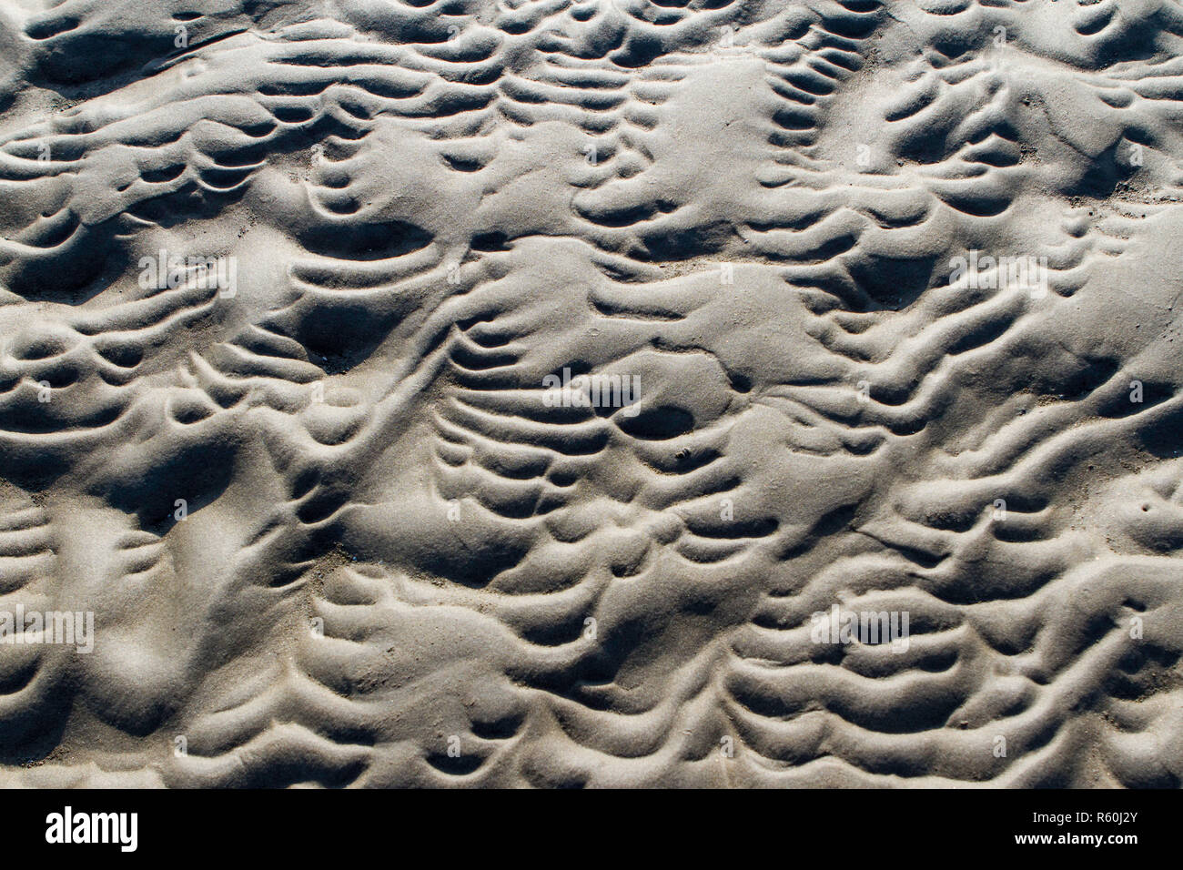 wavy sand pattern on the beach. natural backgrounds and textures Stock ...